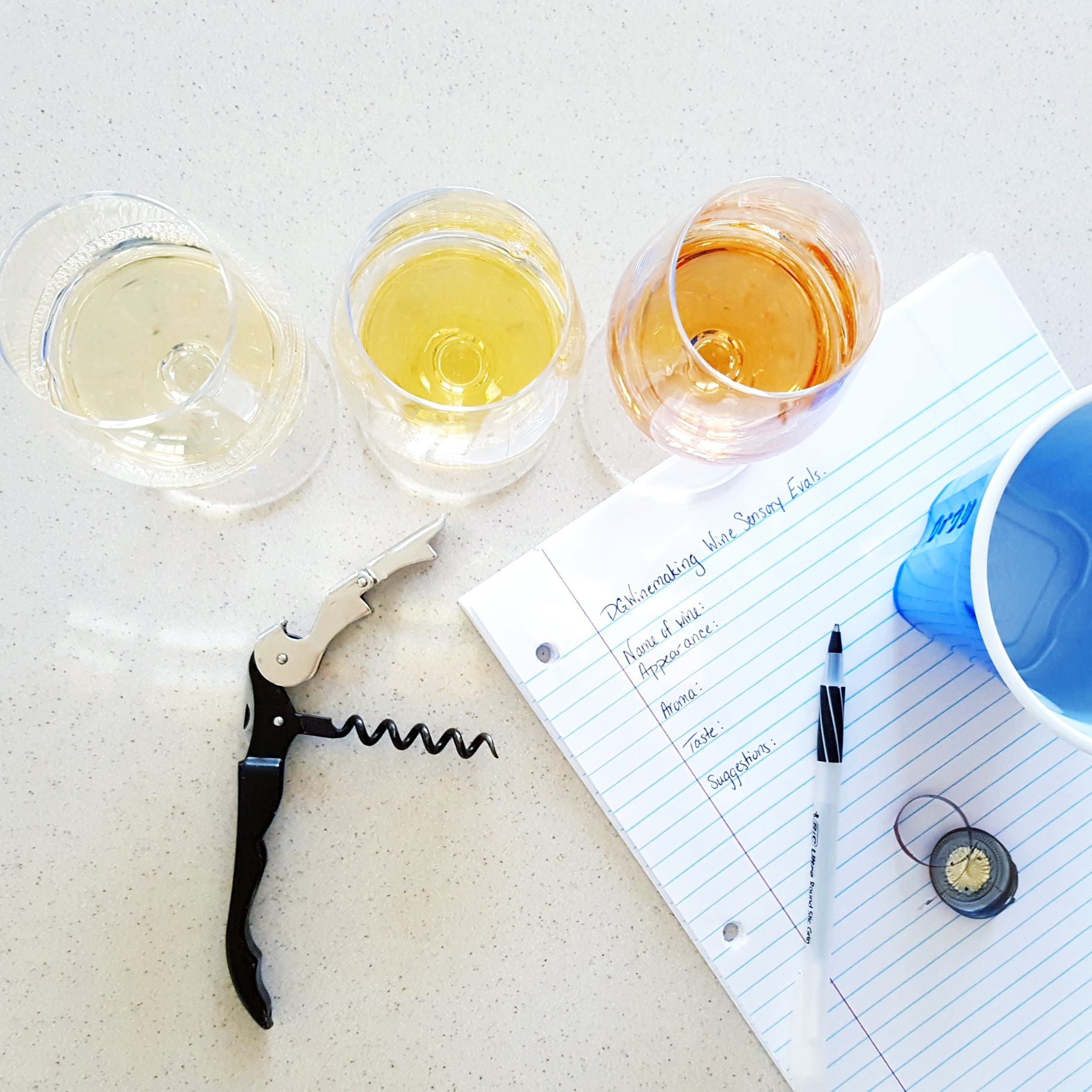 Fining Agent Refinement • Denise Gardner Winemaking